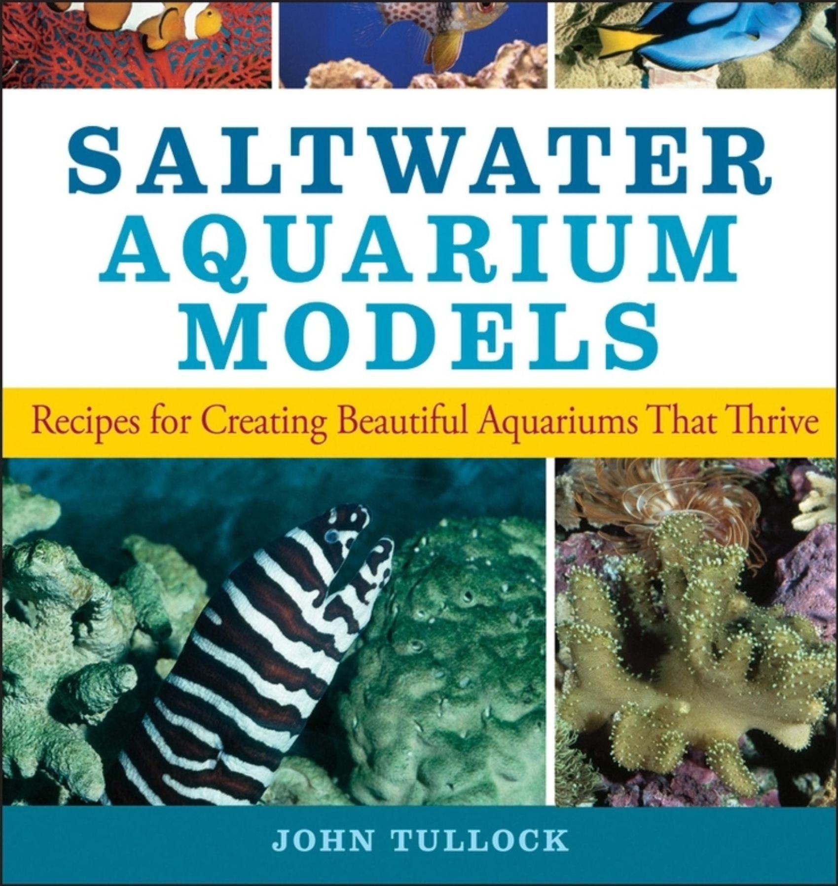 Saltwater Aquarium Models: Recipes for Creating Beautiful Aquariums Th