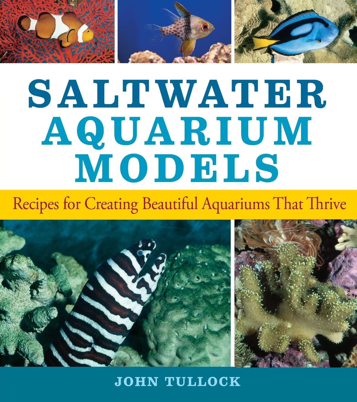 Saltwater Aquarium Models: Recipes for Creating Beautiful Aquariums Th